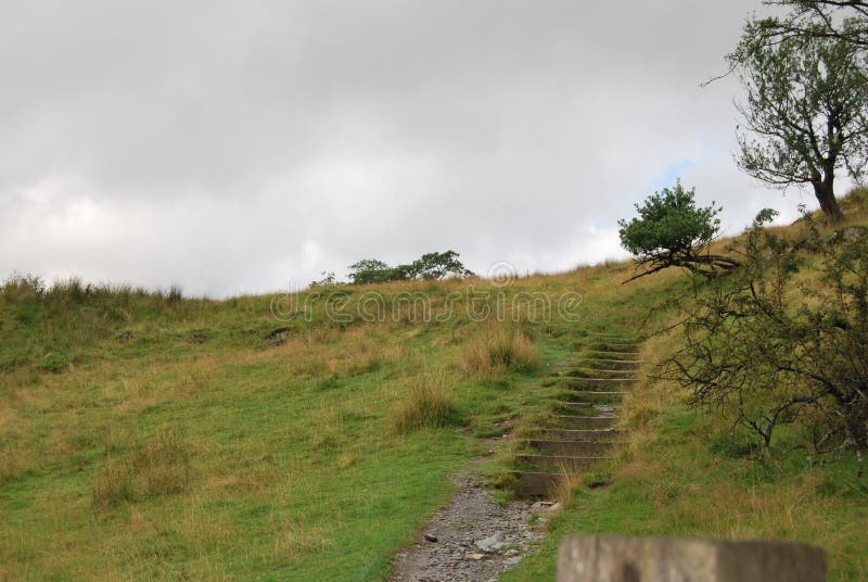 Mountain Grass Tree Cloud Rock Stock Image - Image of rock, grass ...