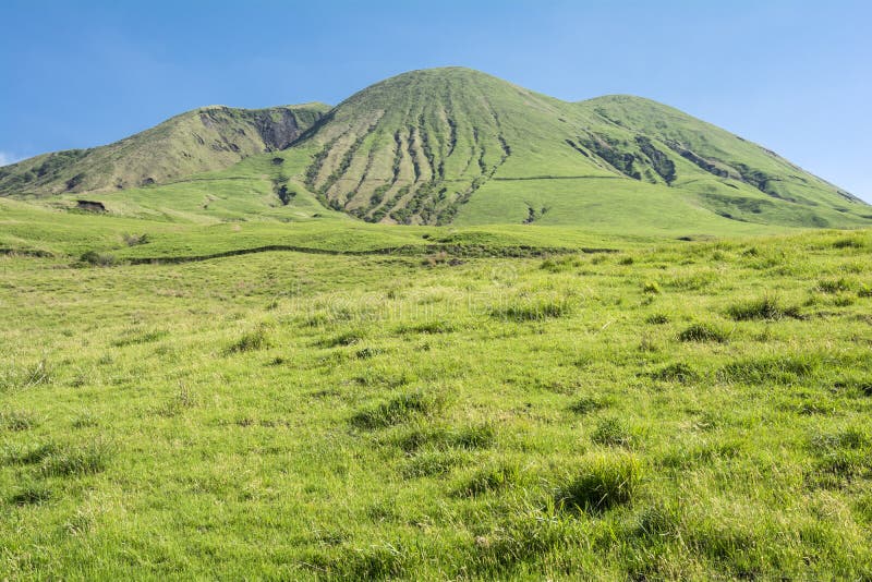 Mountain and grassy plain stock photo. Image of japan - 43591548