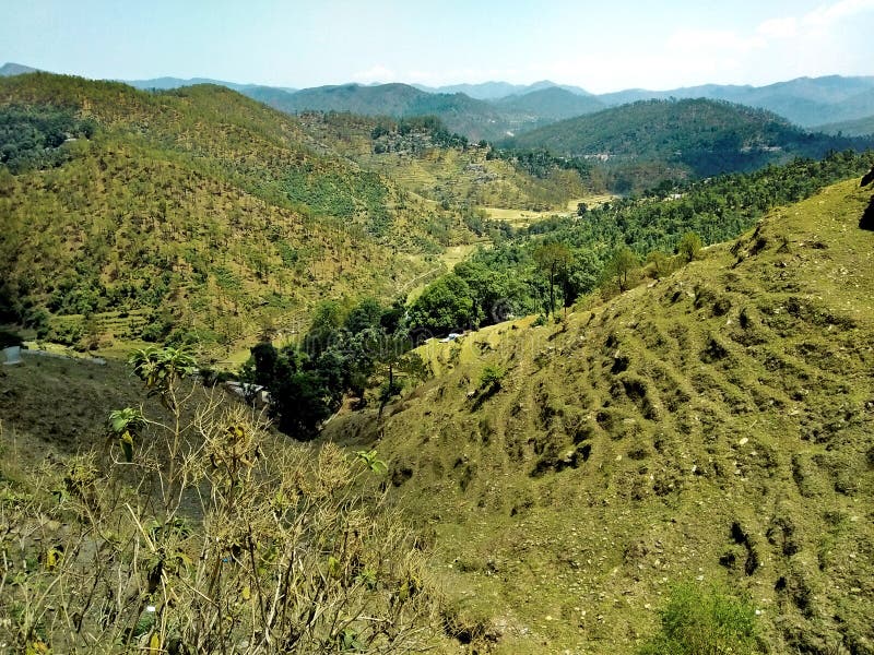 Almora stock image. Image of almora, mountain, tree - 127109783