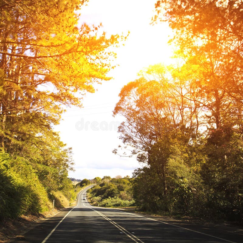 Mountain highway stock image. Image of forest, destination - 30759451