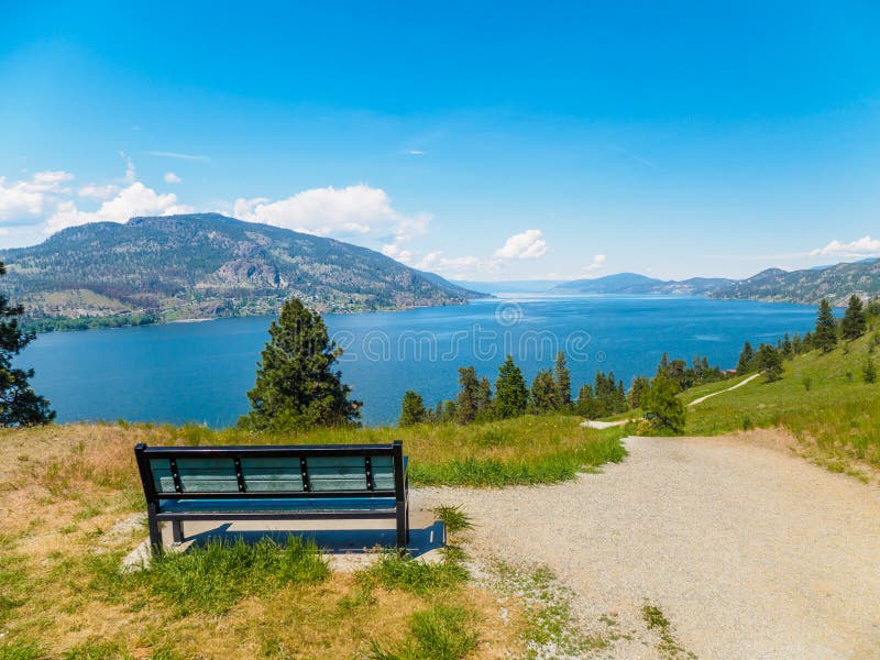 Bench Overlooking a Lake Under the Large Trees, Sun Flare Above Stock ...