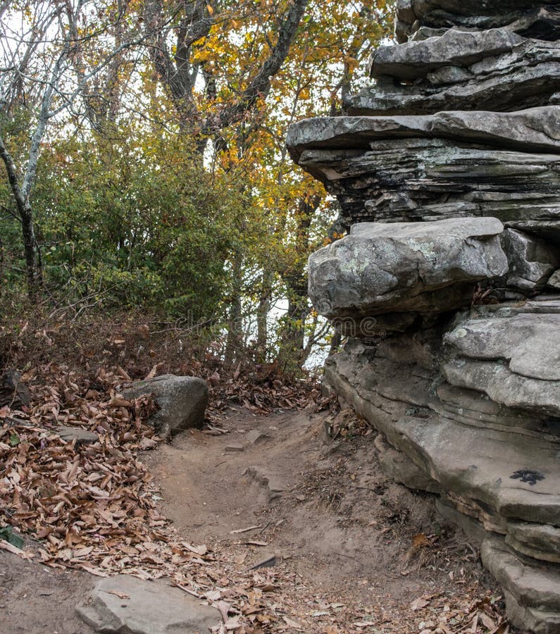 Mountain Hiking Trail stock photo. Image of brown, foliage - 81354926