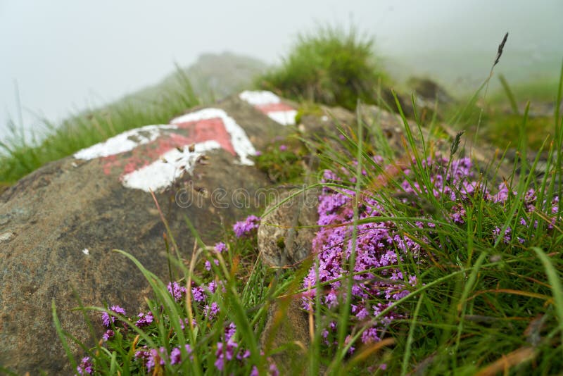 Mountain hiking trail stock photo. Image of mist, mark - 192228302