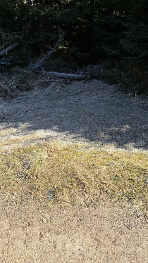 Mountain Hiking Trail, Road in the Mountains in Spring with Remnants of ...