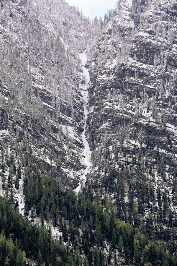 Mountain Hillside with Snowy Gulch Stock Image - Image of forest ...