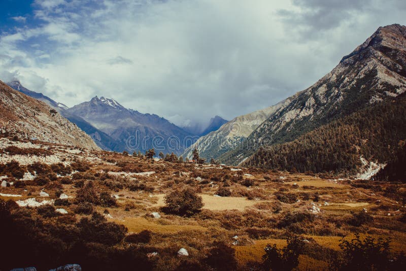 Mountain of himachal stock image. Image of pradesh, himachal - 135243941