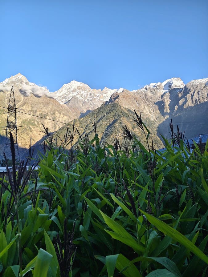 Mountain Himalaya kailash stock image. Image of kailash - 340438873