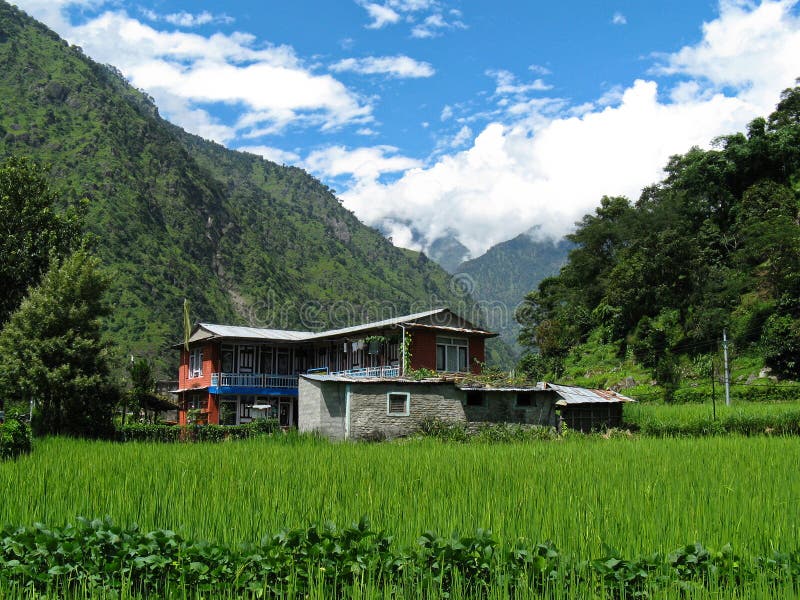 Mountain Home stock photo. Image of house, nepal, forest - 33428340