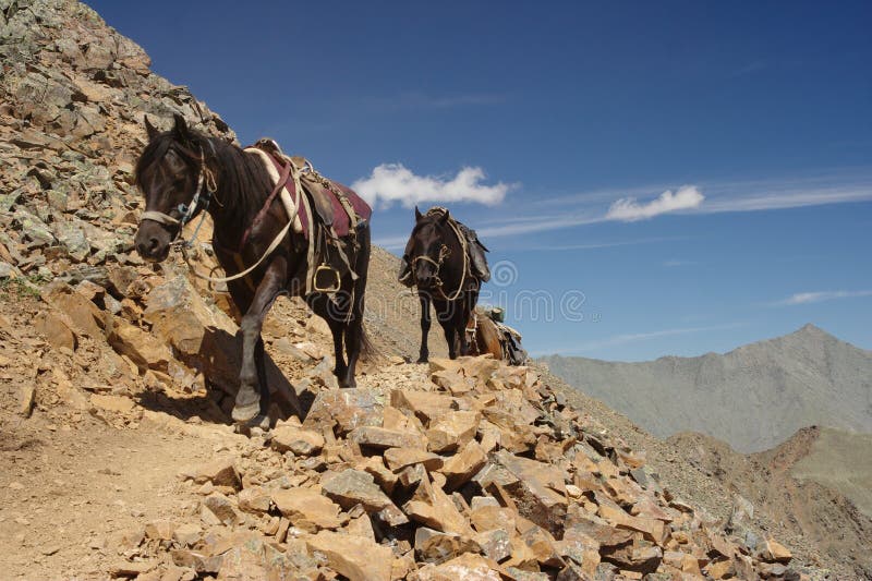 Mountain horse-riding stock photo. Image of outdoors - 15374766