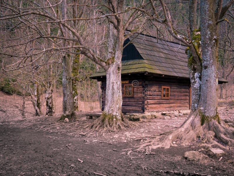 Mountain Hut with Beautiful Old Trees Stock Photo - Image of mountain ...