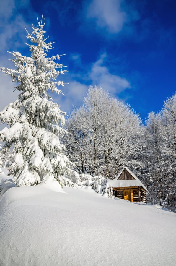 Mountain Hut in Winter Landscape Woods Stock Photo - Image of cold ...