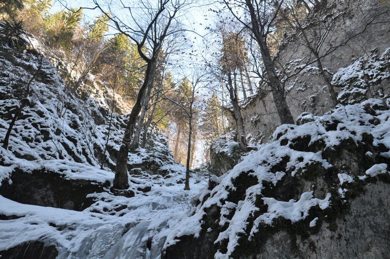 Mountain ice valley stock image. Image of forest, carpathian - 18081411