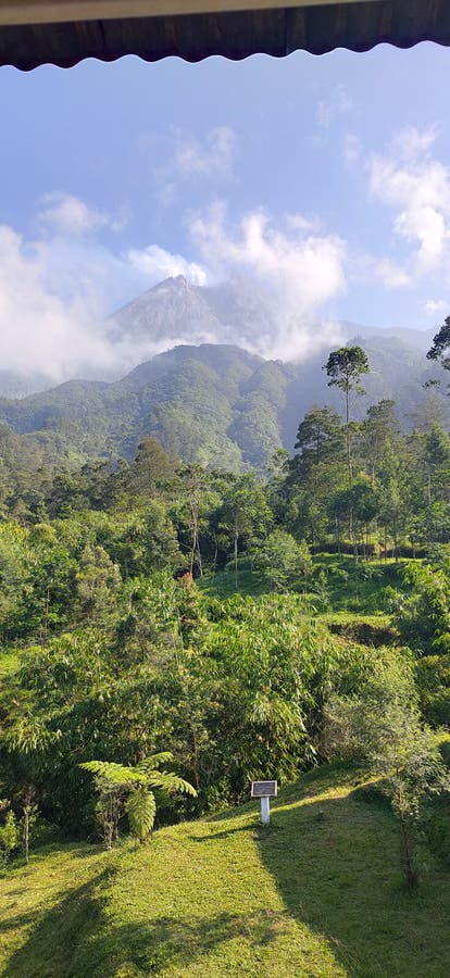 Mountain in java stock image. Image of landscape, vegetation - 225980389