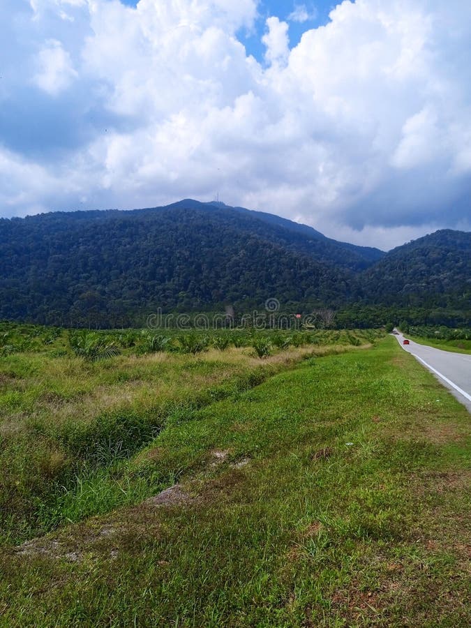 Tangkak District Stock Photos - Free & Royalty-Free Stock Photos from ...