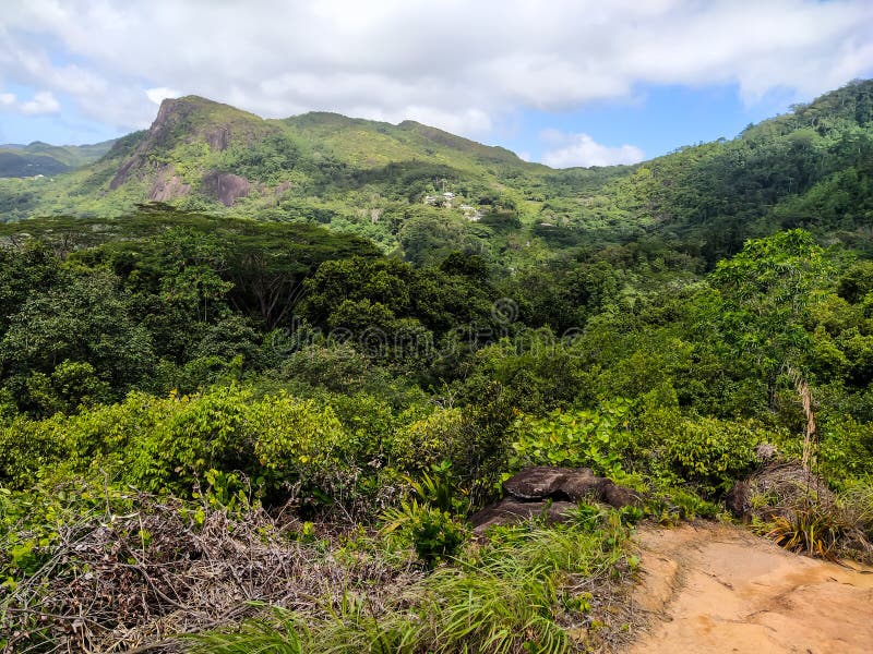 View from Mountain among Jungle Stock Image - Image of trees, nature ...