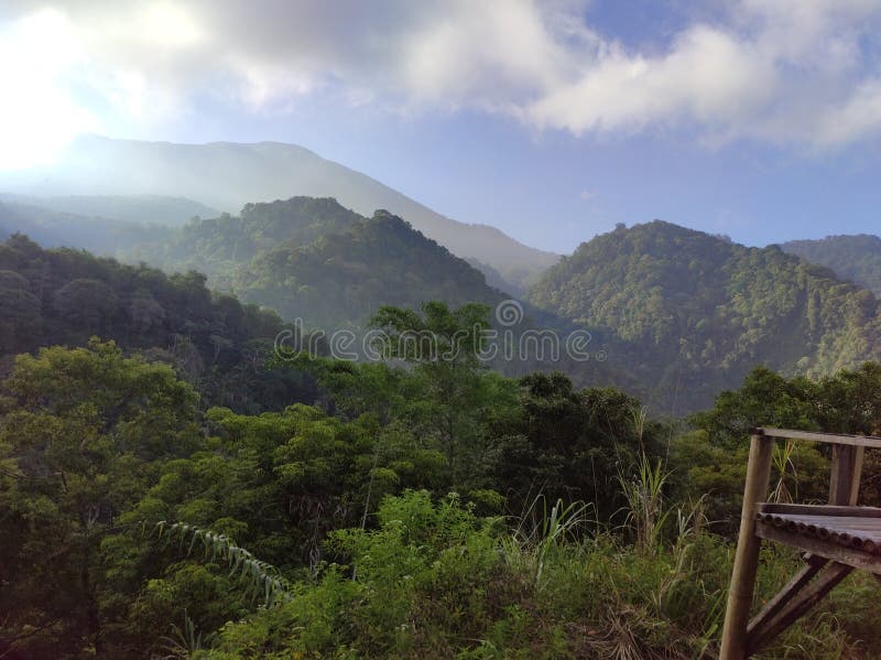 Mountain and jungle stock image. Image of landscape - 226392895