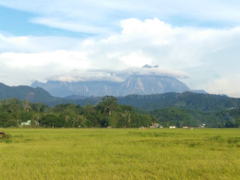 Mountain Kinabalu sabah stock photo. Image of earth - 123359566