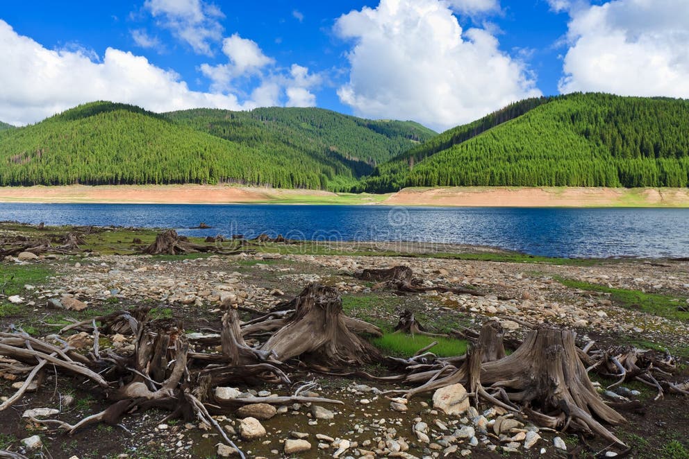 Mountain lake stock photo. Image of vidra, grass, cloud - 25517552