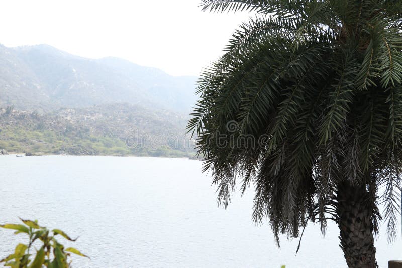 Mountain Lake with Beautiful Tee and Blue Hills Background. Stock Image ...