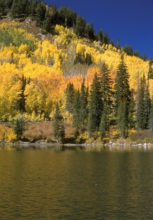 Mountain Fall stock image. Image of bright, foliage, leaves - 267517