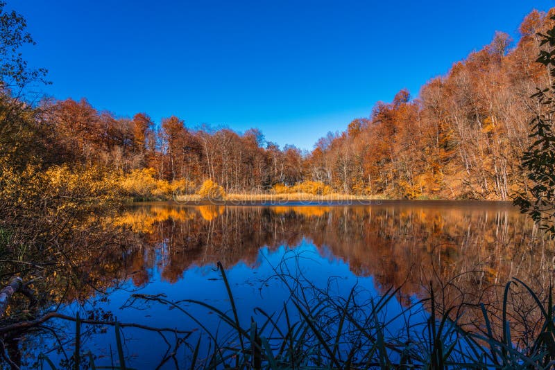 Mountain Lake in the Fall Season Stock Image - Image of oaks ...