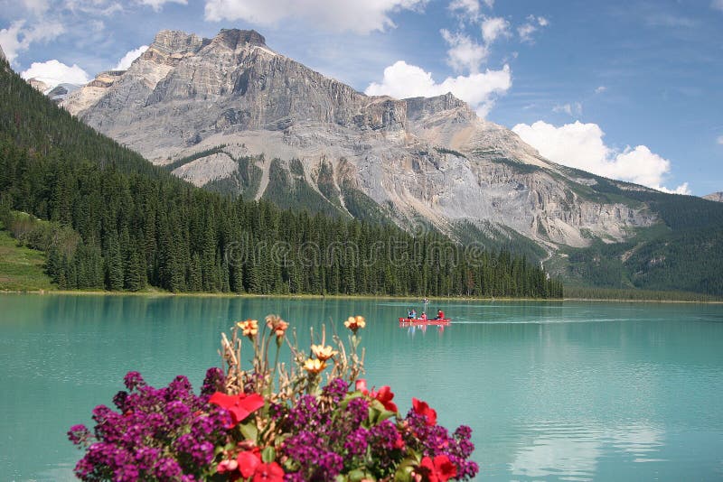 Mountain lake with flowers stock photo. Image of postcard - 1221494