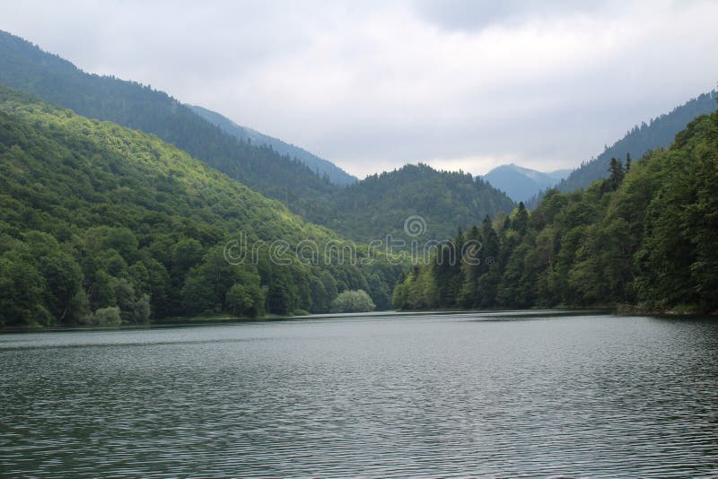 Mountain Lake in the Forests Montenegro Stock Image - Image of ...