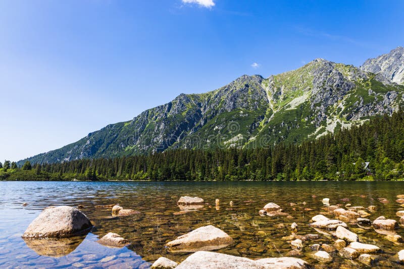 Mountain Lake in the High Tatras, Slovakia Stock Image - Image of ...