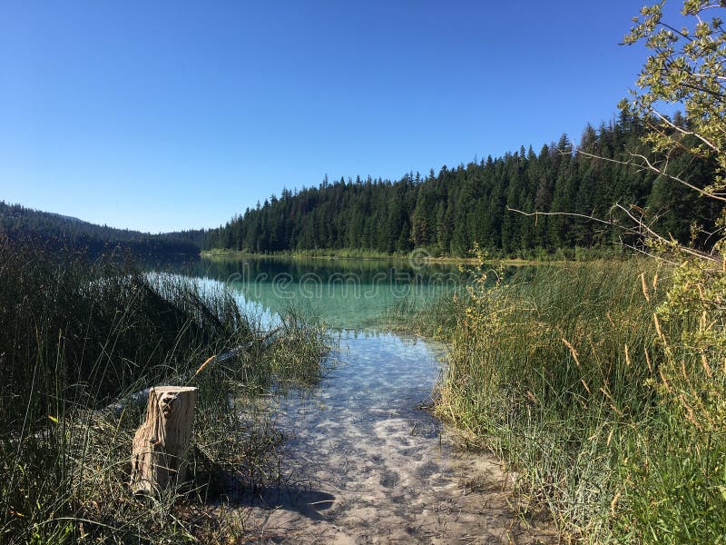 Mountain Lake in Kamloops BC Stock Photo - Image of meadow, kamloops ...