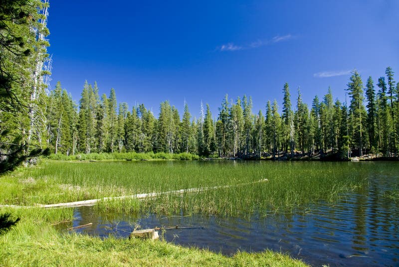 Mountain Lake and Meadow stock photo. Image of water, mountains - 3065894