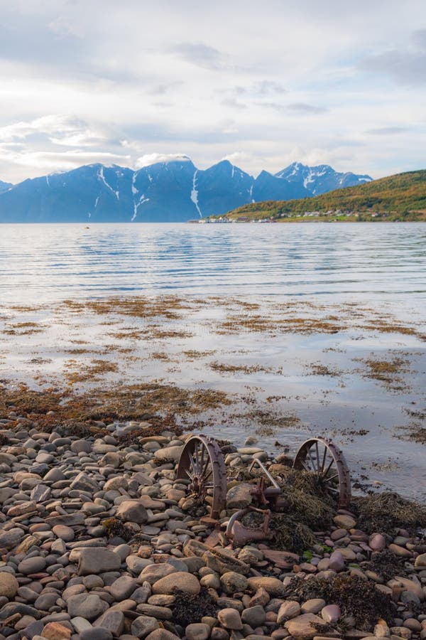 449 Broken Trolley Stock Photos - Free & Royalty-Free Stock Photos from ...