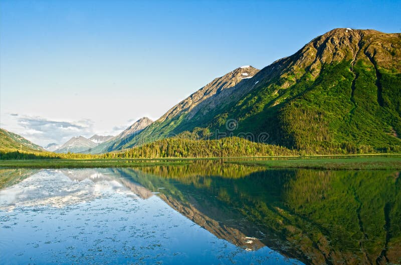 Mountain Lake Reflection 2 stock photo. Image of forest - 11450592