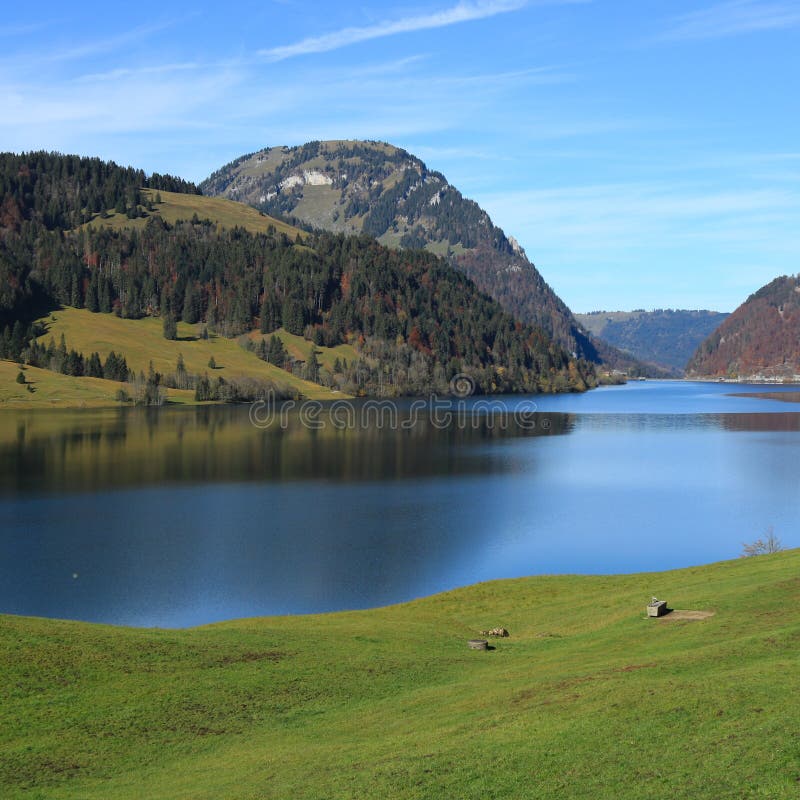 Mountain Lake in Schwyz Canton Stock Photo - Image of square, rural ...
