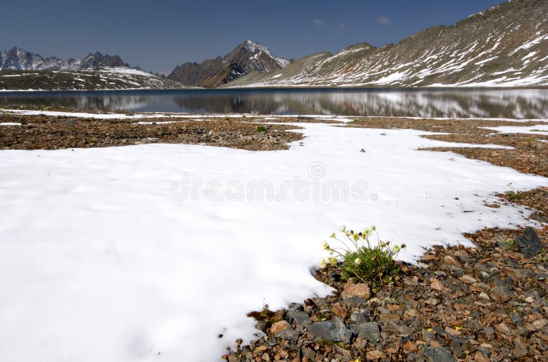Lake and snow stock photo. Image of weather, view, travelling - 8399774