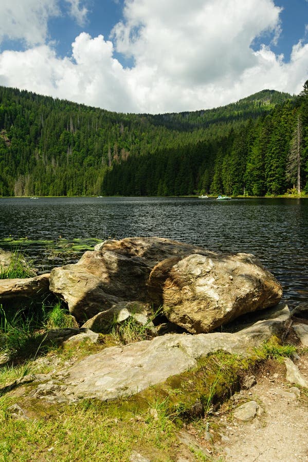 Mountain lake in Sumava stock image. Image of black, trees - 75871469