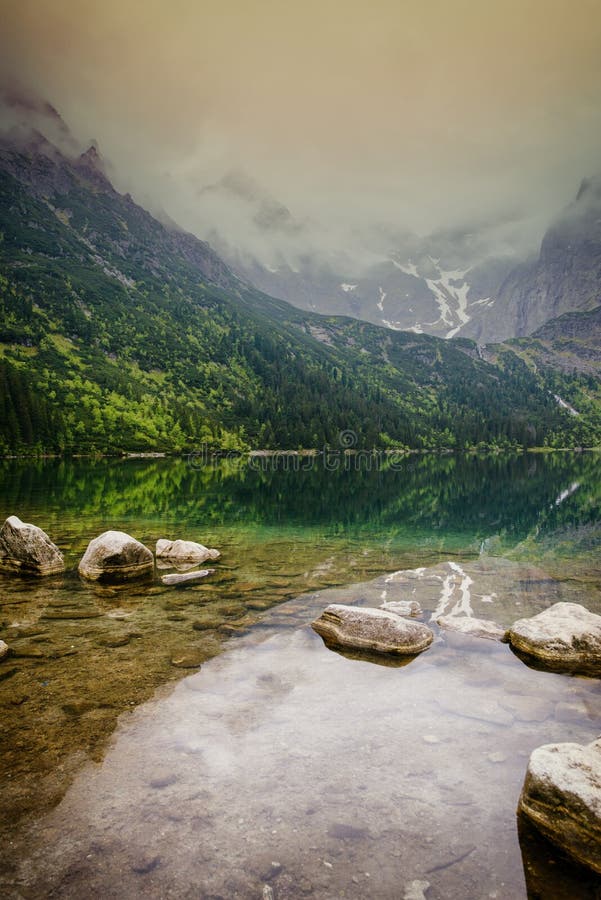 Mountain lake in summer stock photo. Image of travel - 80301964