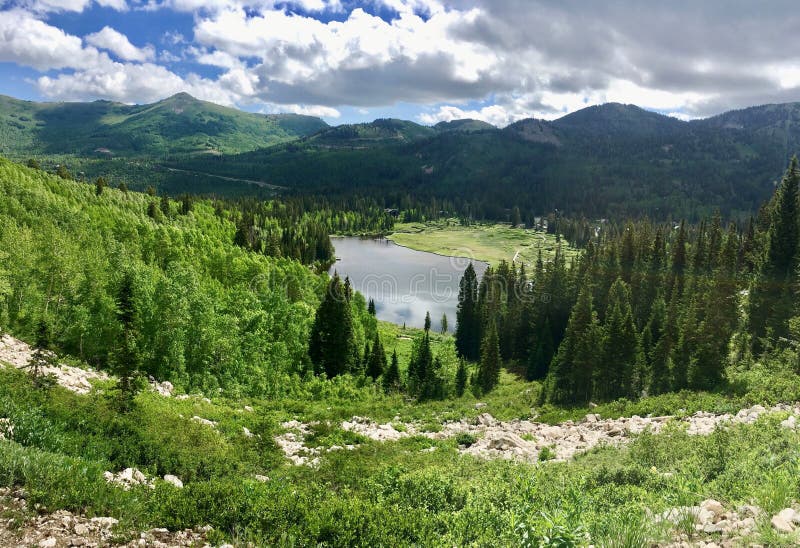 Mountain Lake in the Summer Stock Photo - Image of summer, ocean: 196986708