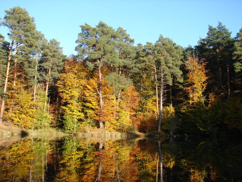 Basman Stock Photos - Free & Royalty-Free Stock Photos from Dreamstime