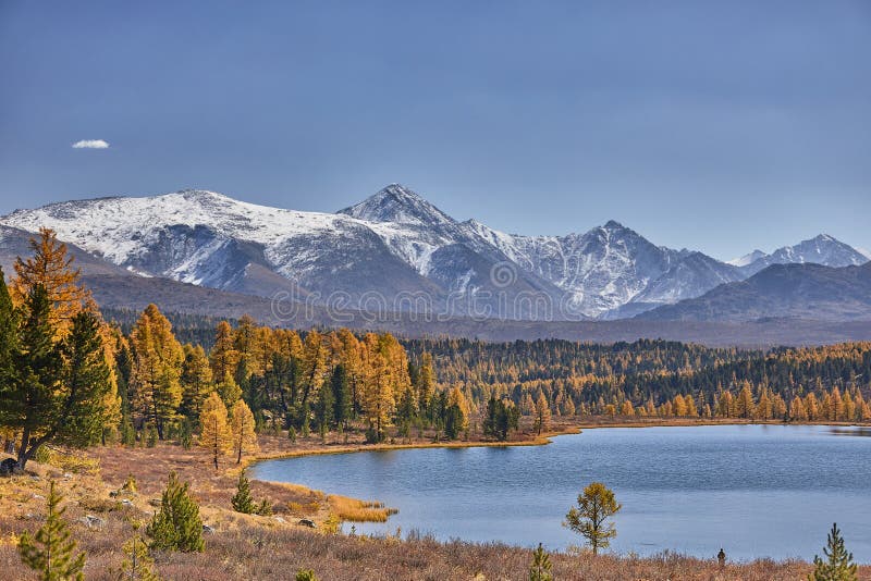 Mountain Lake, Altai Mountains. Stock Image - Image of lake, peak ...
