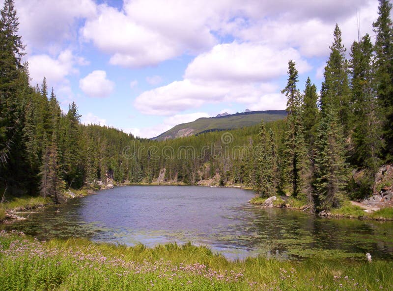 Mountain Lakeside Rest Area Stock Image - Image of forest, lake: 1155469