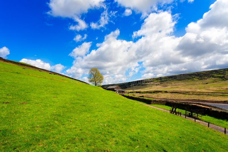 Walled Yorkshire path stock image. Image of park, hill - 4977471