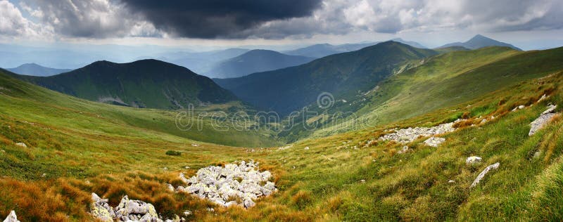 Somber morning stock photo. Image of forest, morning - 55945716