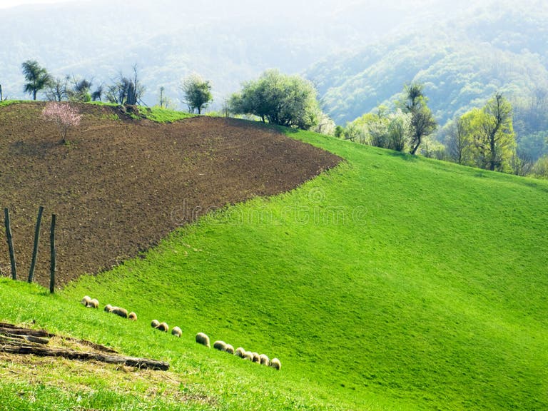 Mountain landscape stock photo. Image of greenfield, horizon - 9118286