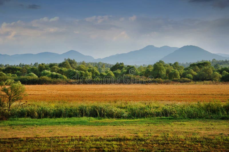 Mountains Against Blue Sky and Orange Field, Harmony of Forest, Distant ...
