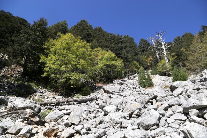 Mountain Landscape in the Area of the Lycian Way Stock Photo - Image of ...