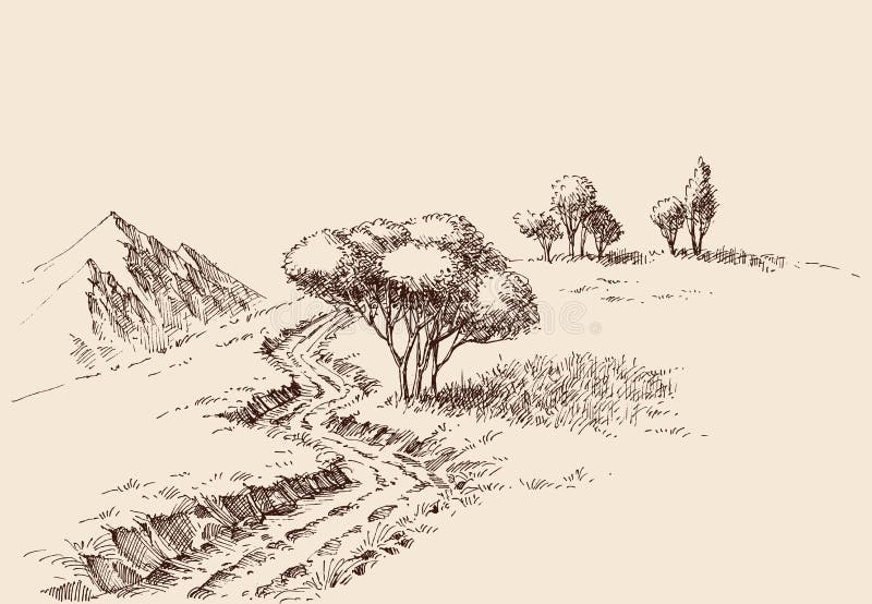 Alpine meadow hand drawing stock vector. Illustration of nature - 123669907