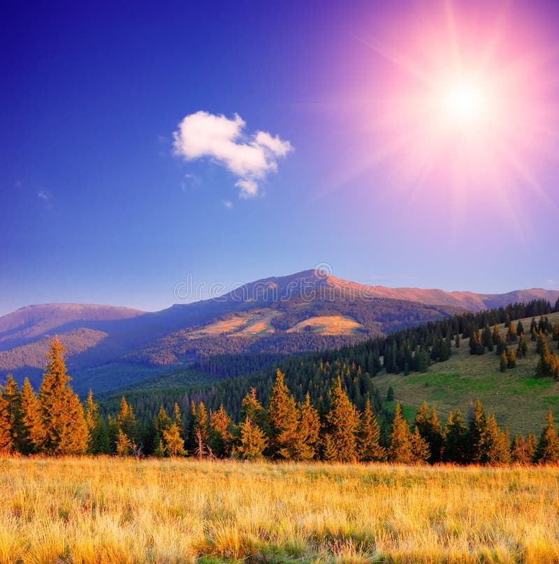 Landscape with the Bright Sun Stock Photo - Image of season, sunlight ...