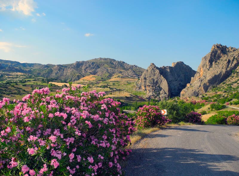 Derick Mountains Stock Photos - Free & Royalty-Free Stock Photos from ...