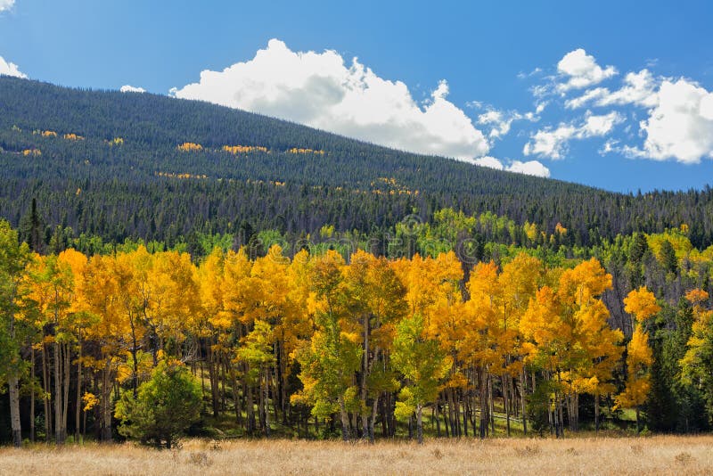 Mountain Landscape in Fall stock image. Image of colorado - 59180551