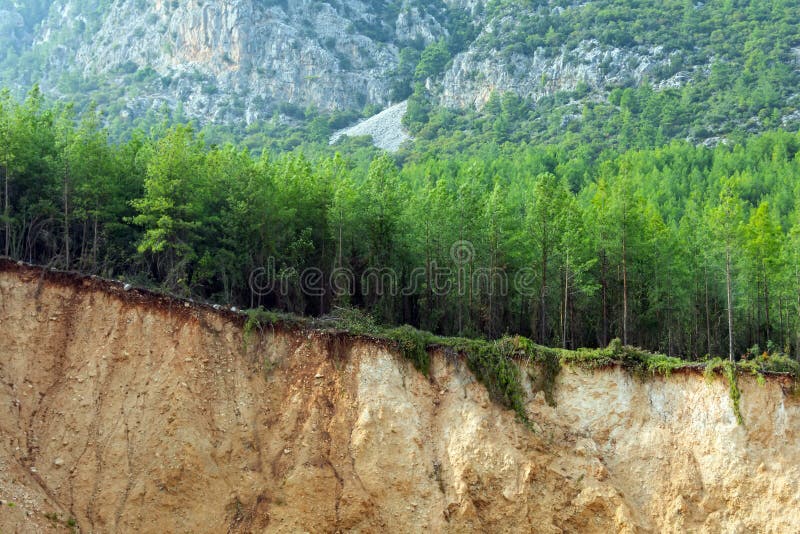 Mountain Landscape with Forest Coniferous Vegetation and a Section of ...